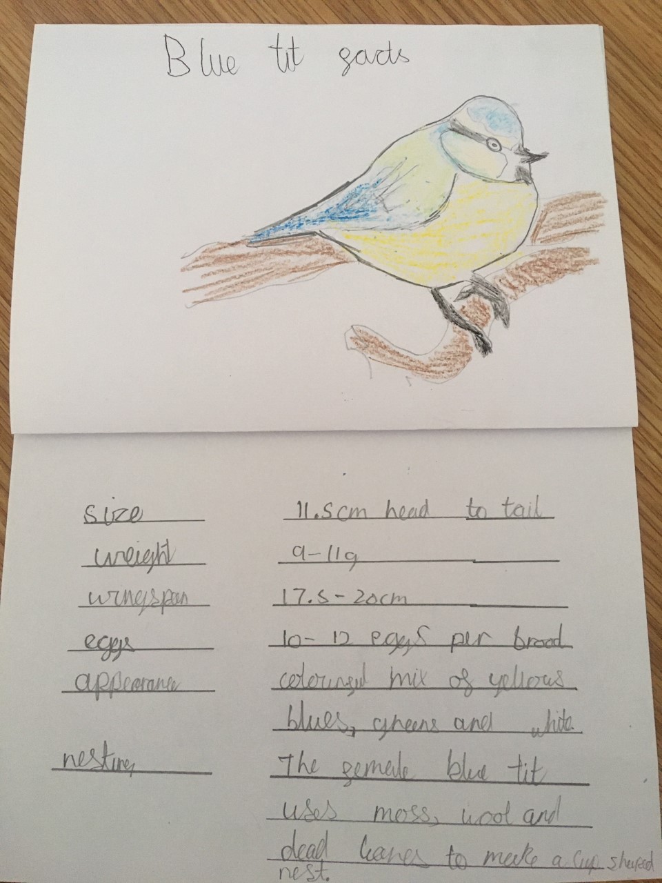 Uniform – Parkside Community Primary School